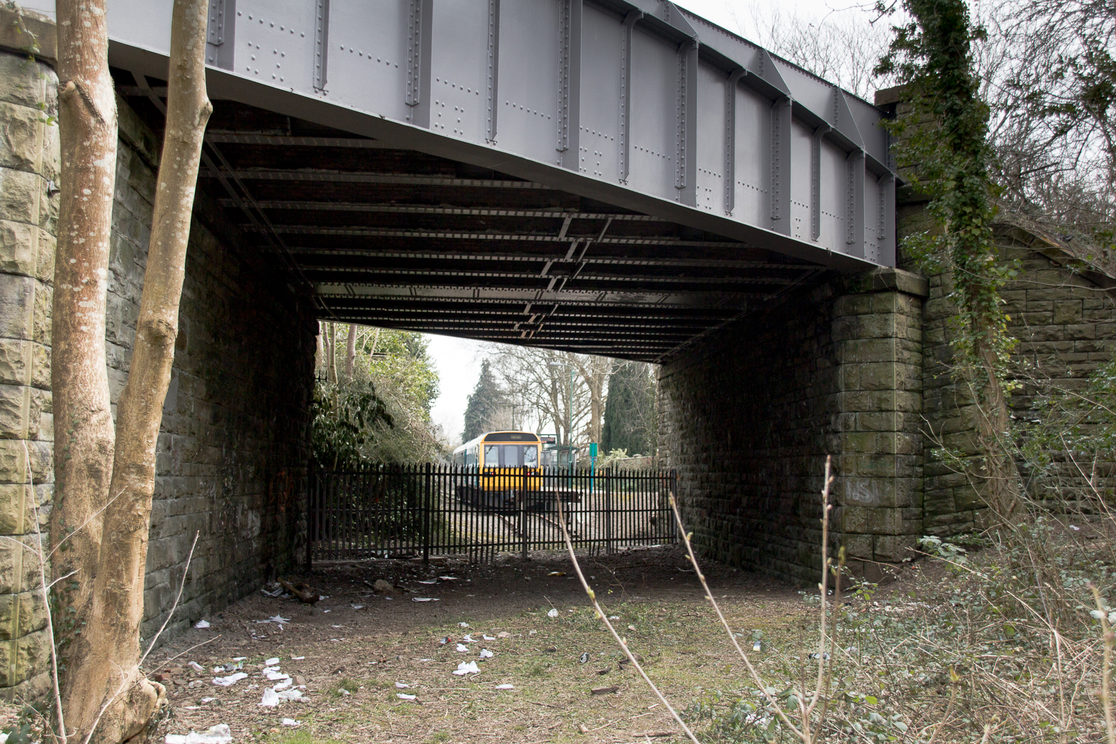 The Cardiff Railway - The Vincent Conglomeration